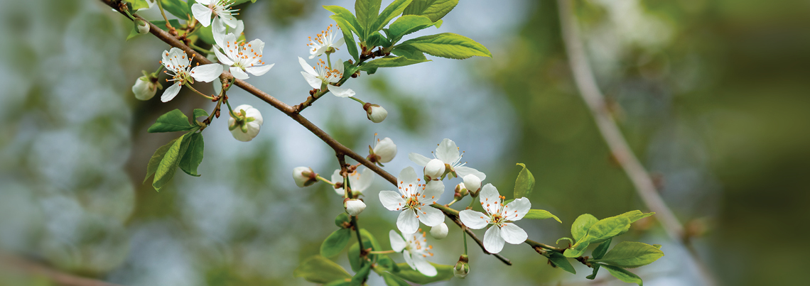 Excel News – November 2022 – Excel Financial Advisors – Your Accountant ...